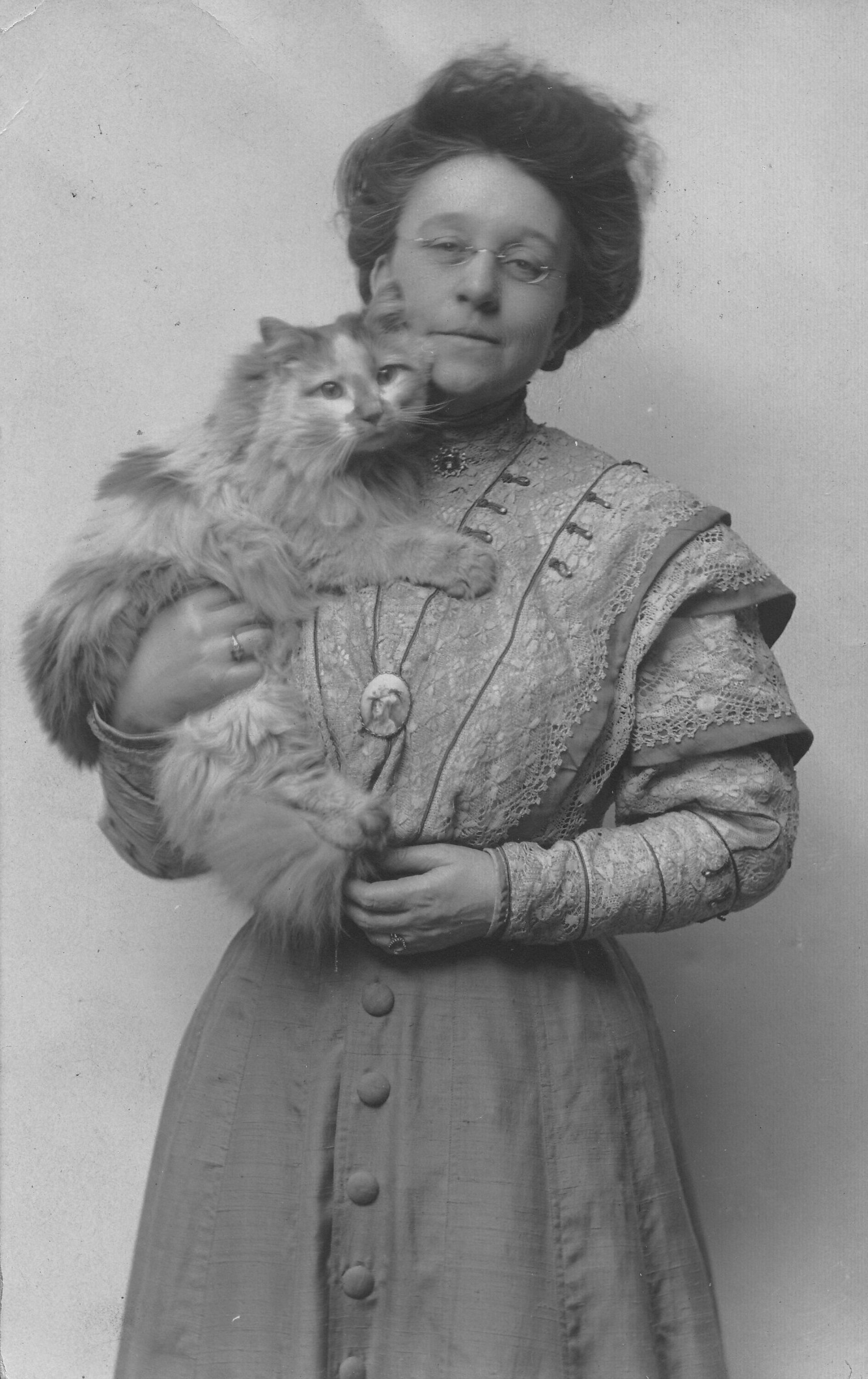 What is a pet? – The Pet Historian