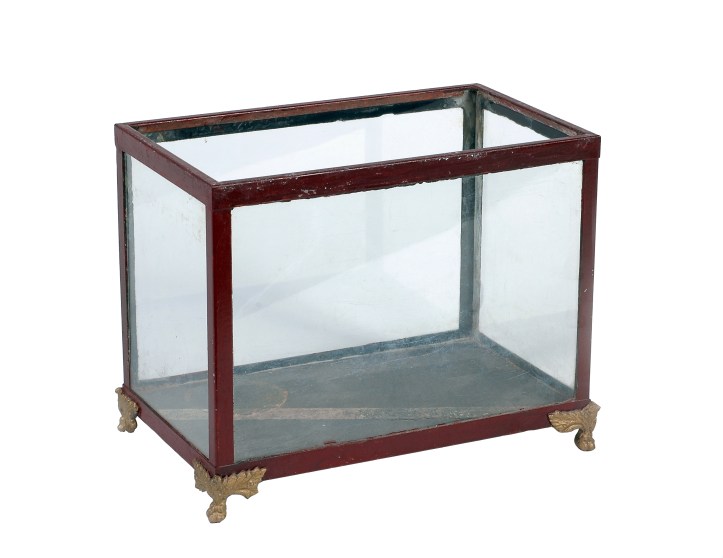 A Victorian Aquarium – The Pet Historian