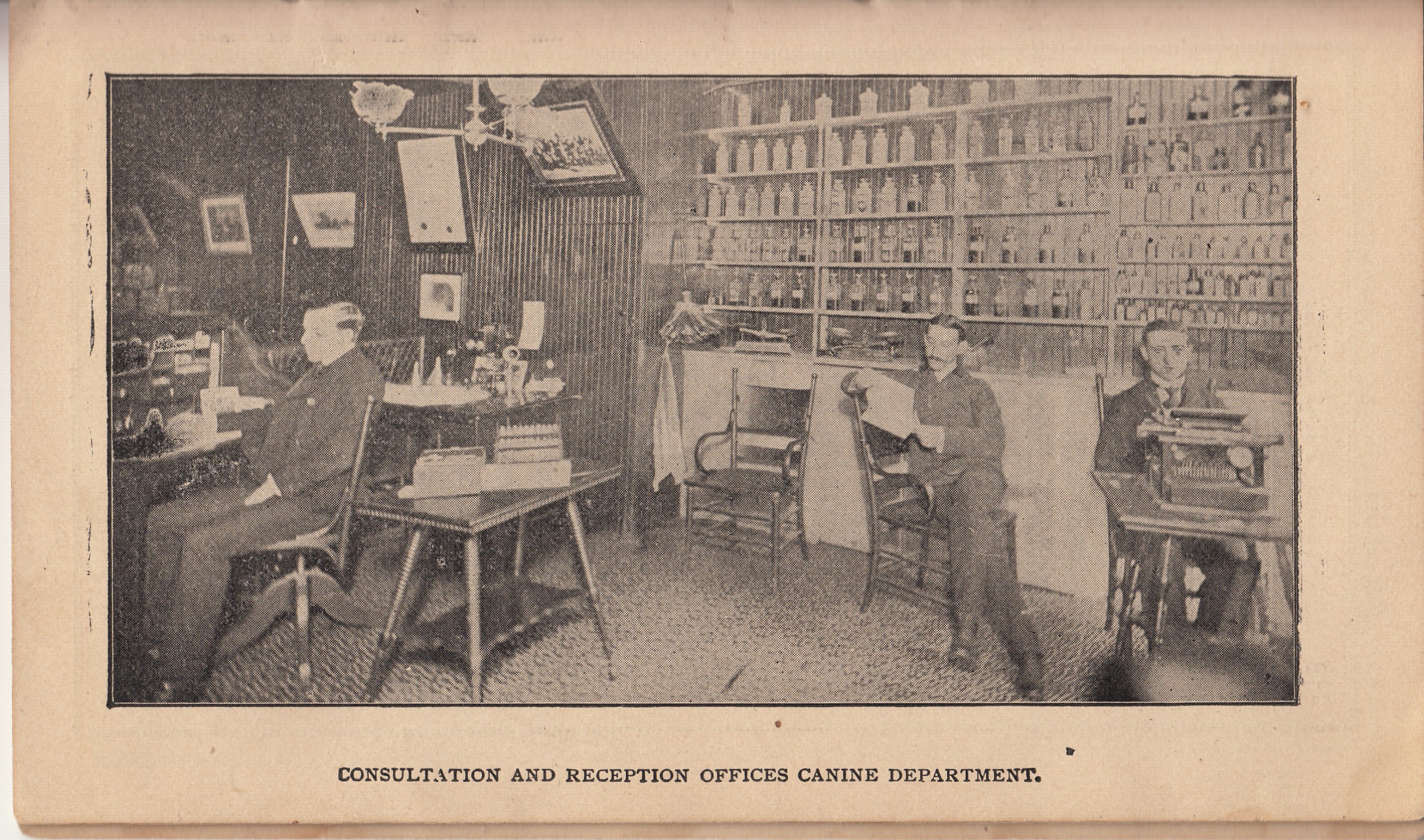 The New York Veterinary Hospital, 1900: An Early Small-Animal Practice ...