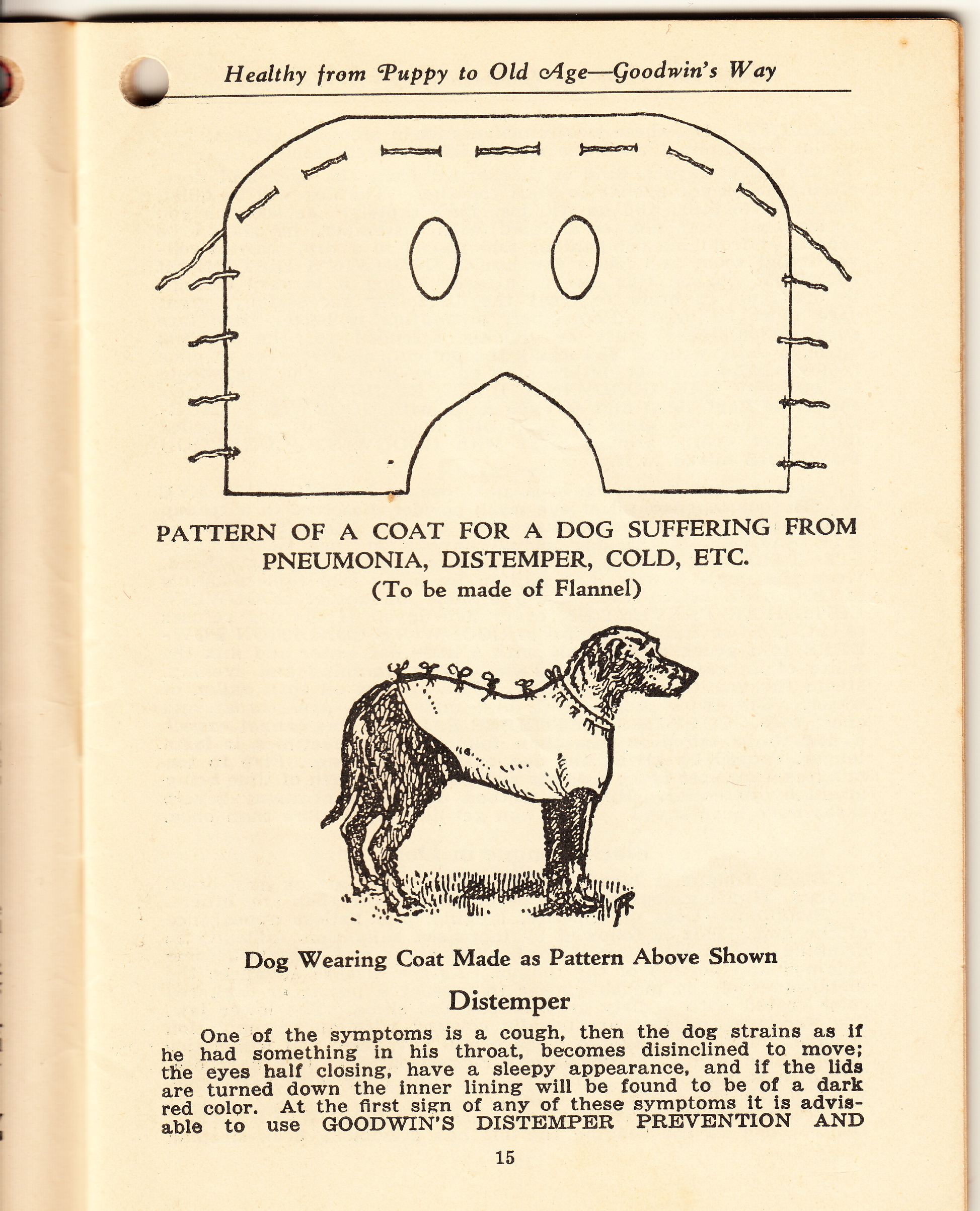 Richard Goodwin, Dog Specialist, Part II – The Pet Historian