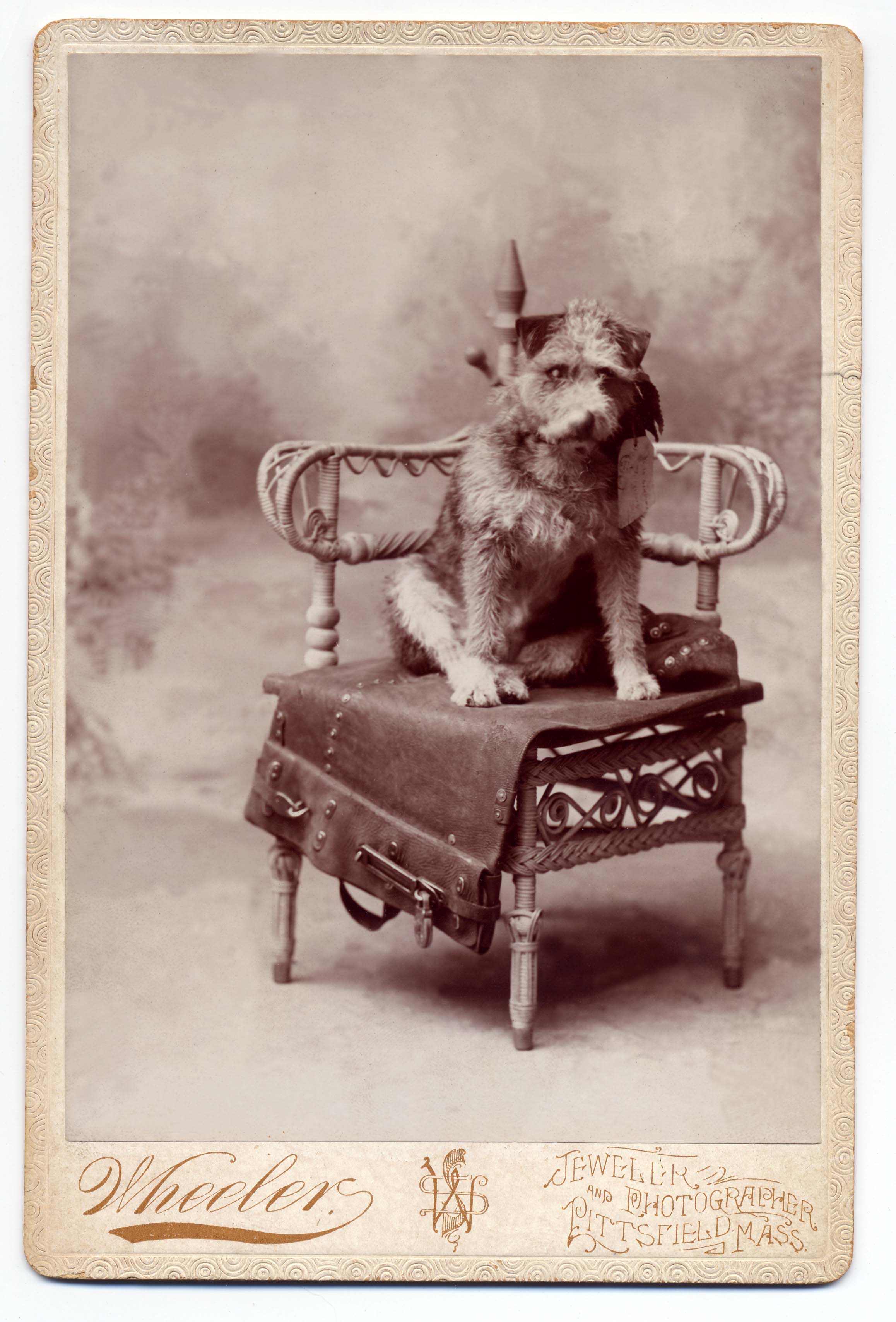 Sgt. Stubby and Owney the Post Office Dog: The Meaning of Mascots – The ...